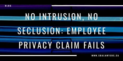 No Intrusion, No Seclusion: Employee Privacy Claim Fails